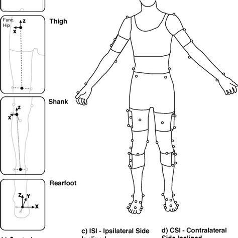 Marker Placement And Segments Coordinate Systems A Control Condition