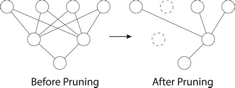 Privacy Preserving Stochastic Channel Based Federated Learning With Neural Network Pruning DeepAI