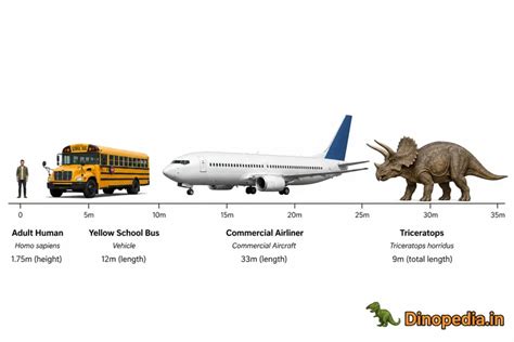 Triceratops A Late Cretaceous Ceratopsian Dinosaur