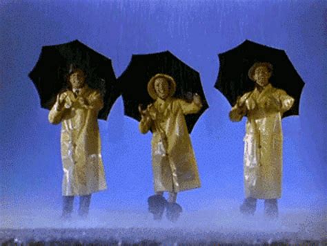 Rain S