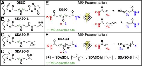 Enabling Photoactivated Cross Linking Mass Spectrometric Analysis Of Protein Complexes By Novel