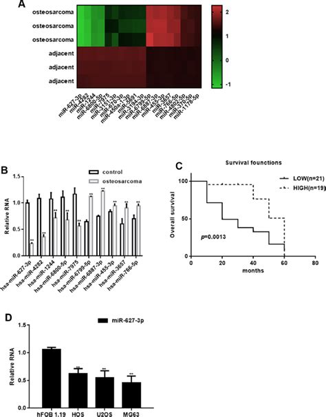 Identification Of Differentially Expressed Mirnas In Osteosarcoma A Download Scientific