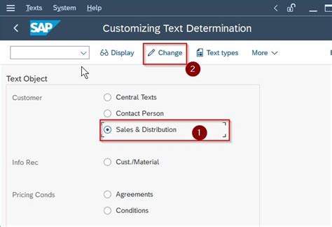 How To Create Text Type In SAP How To Create Text Type In SAP