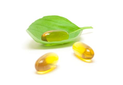 주식why 알피바이오 대웅제약 후광과 국내 연질캡슐 ‘대장