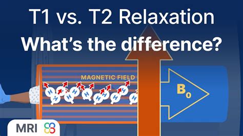 Whats The Difference Between T1 And T2 Relaxation Mri Physics