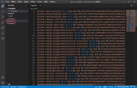 Vscode 搭建ginvscode安装gin插件 Csdn博客
