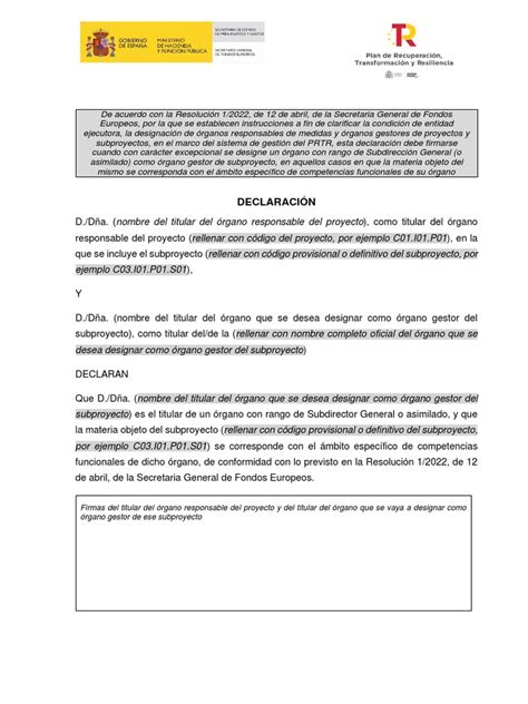 Modelo Declaracion Responsable Subproyecto Age Rango Inferior Dg Pdf Tecnología