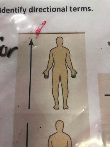 Practical A P Flashcards Quizlet