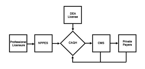Simple Credentialing Workflow North Florida Credentialing Ralys