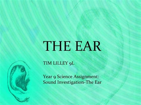 Sound Assignment The Ear Investigation Pptx