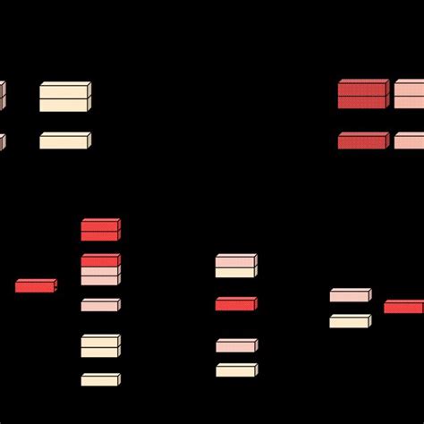 Server Aggregation Model Download Scientific Diagram