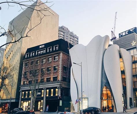 Cheongdam Dong Luxury Fashion Street And Getting There Koreatodo