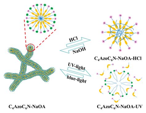 Ph And Light Dual Stimuli Responsive Wormlike Micelles Based On Azophenyl Surfactant And Sodium