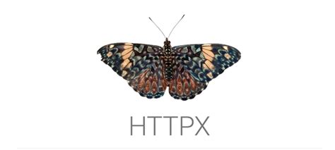 Python3的下一代客户端——x 知乎 Python3的下一代客户端——x 知乎