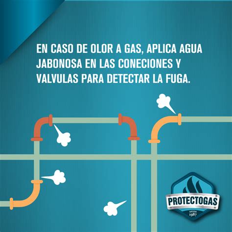 Protectogas ¿sabes Cómo Detectar Una Fuga De Gas En Una