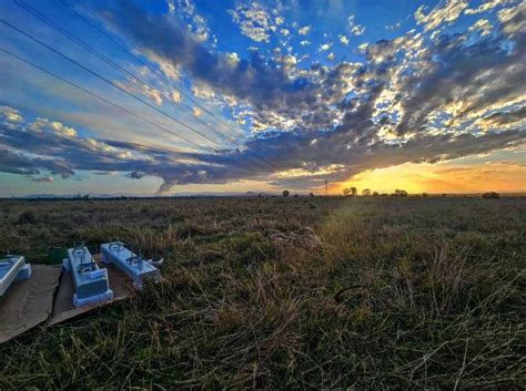 Telstra Build Complete In Ipswich Area Onto The Next One 💪 Adam Jackson