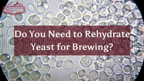 Do You Need To Rehydrate Yeast For Mead Beer Wine Etc