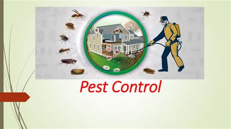 Pest And Pest Control Pptx