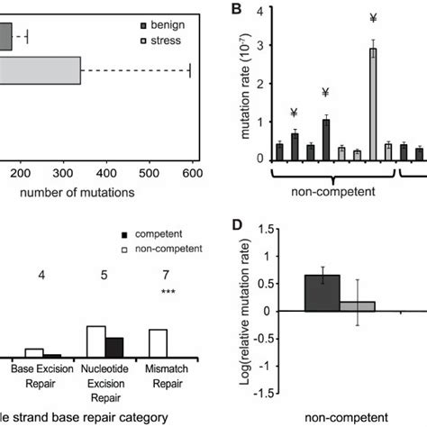 Number Of Mutations And Mutation Rates Of Evolved Populations Dark Download Scientific Diagram
