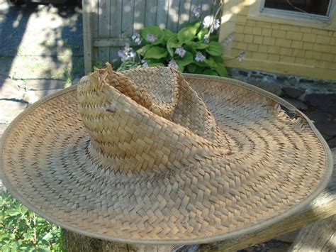 Spring Gardeningooopsspring Cleaning Horlings Plants