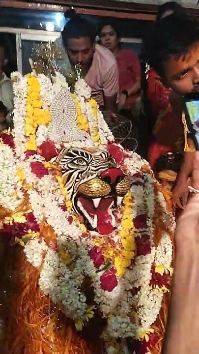 Narsingh Lella Jaipur 2023 Youtube