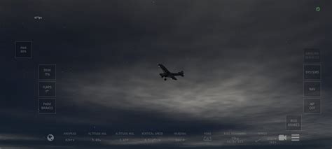 Stunning Pictures Of Cub🤩 Screenshots And Videos Infinite Flight