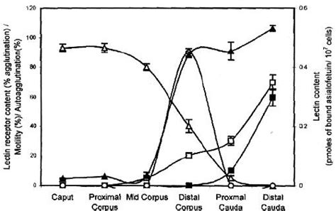 Correlation Of Sperm Levels Of Lectin And Its Receptor Download Scientific