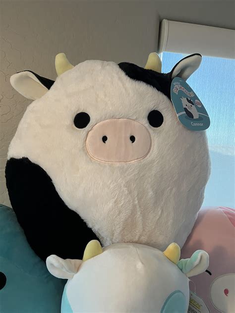 Fuzzamallow Connor Just Arrived Rsquishmallow