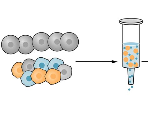 Identifying Cancer Drivers Science