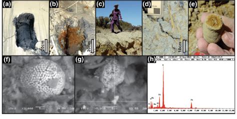 Redoximorphic Pedofeature A Sulfidic Materials B Alternating Download Scientific Diagram