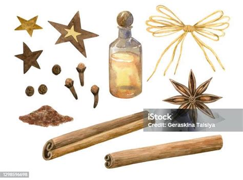 겨울 향신료 계피 롤 핀치 스타 아니스 정향 후추 병 별 활 요소 집합입니다 손으로 그린 수채화 일러스트 갈색에 대한 스톡 벡터 아트 및 기타 이미지 Istock