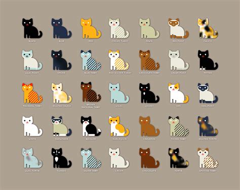 35 Cat Colors And Patterns Original Design Poster Etsy Canada