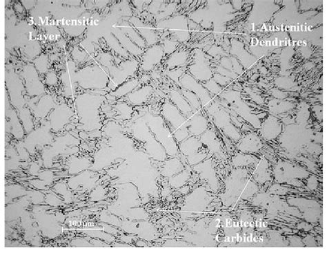 Optical Micrograph Of The As Cast Alloy 1 Austenitic Dendrites 2 M Download Scientific