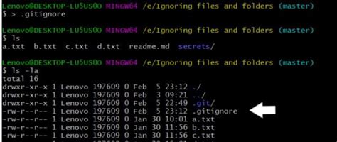 How To Ignore Any ‘bin Directory On A Git Project Geeksforgeeks