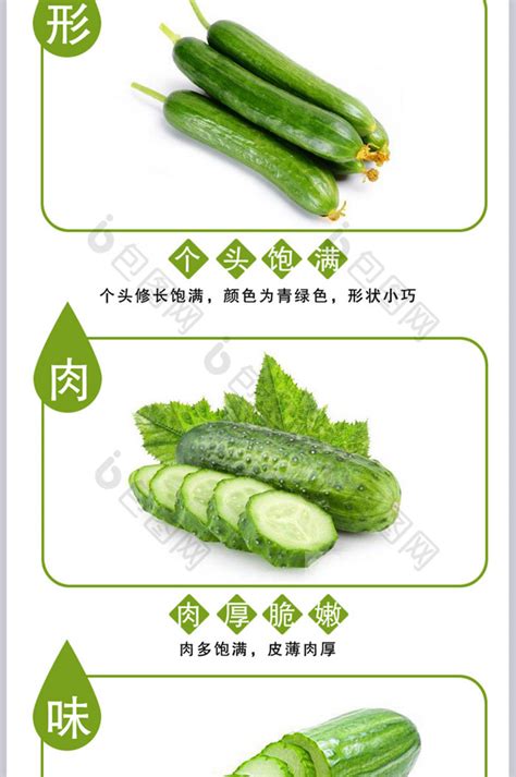 淘宝黄瓜详情页描述图psd模板效果图 包图网