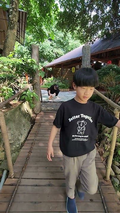 베트남 달랏 가는길 귀여운 강아지와 소 Youtube