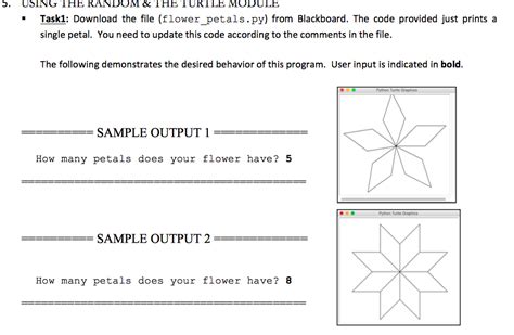Solved Import Turtle The Code Provided Prints A Single