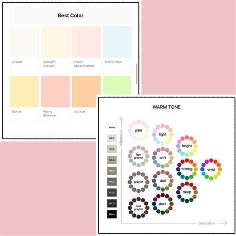 퍼스널 컬러 뜻 자가 진단 사이트 쿨톤 웜톤 테스트 알아봐요 네이버 블로그