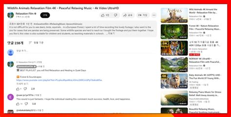 크롬 유튜브 광고 차단 경고 확장 프로그램 애드블록 재생 중단 해결 방법 네이버 블로그