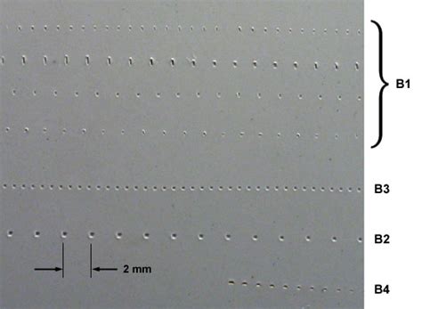 Riveting For Scale Models Tools Large Scale Planes