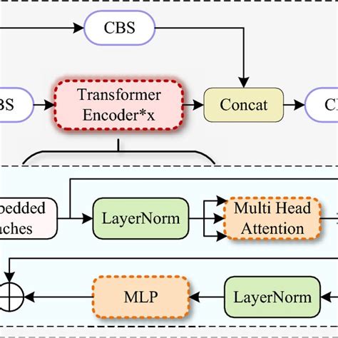 the architecture of csptrans and transformer encoder block the gray