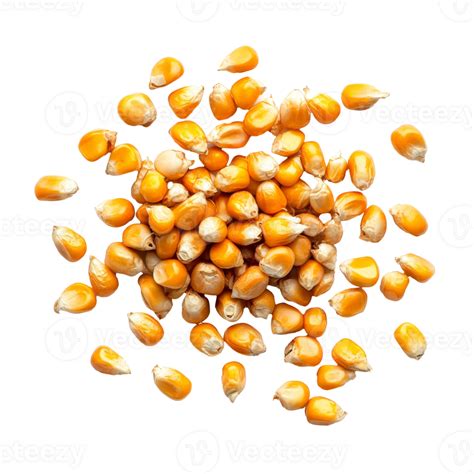 Yellow Corn Kernels Scattered On A White Surface 52653077 Png