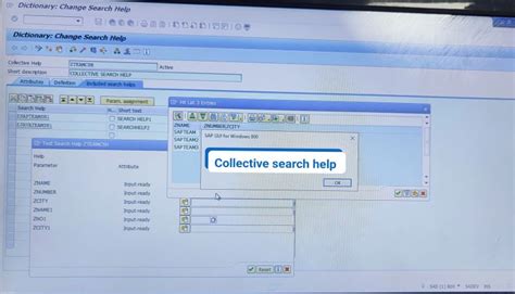 Sap Abap Understanding Collective Search Help Output Collective Search