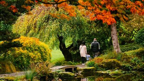 Seattle In The Fall 2023 Festivals And Foliage Guide