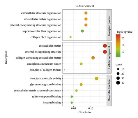 The Result Of The Go Enrichment Analysis The Top Middle And Bottom
