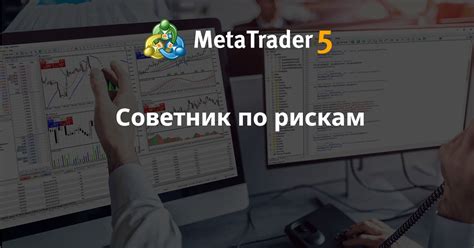Скачать бесплатно скрипт Советник по рискам от T 1000 для Metatrader 4 в Mql5 Code Base