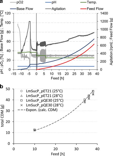 Fed Batch Bioreactor Cultivation A Example Time Course With Control Download Scientific