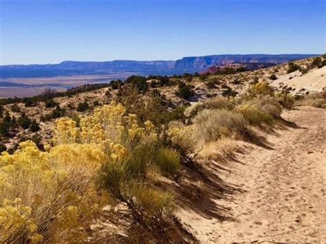 Mansard Trail Kanab Ut Grey Otter Outventures®