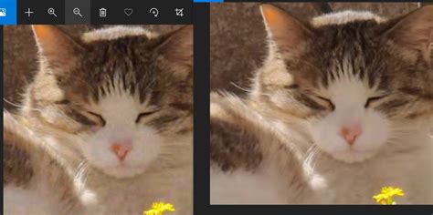 Invisible Digital Watermarking In Python The Parnassus
