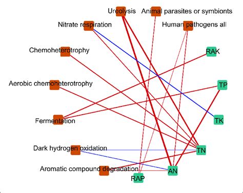 Correlation Based Network Analysis Showing Potential Interactions Download Scientific Diagram